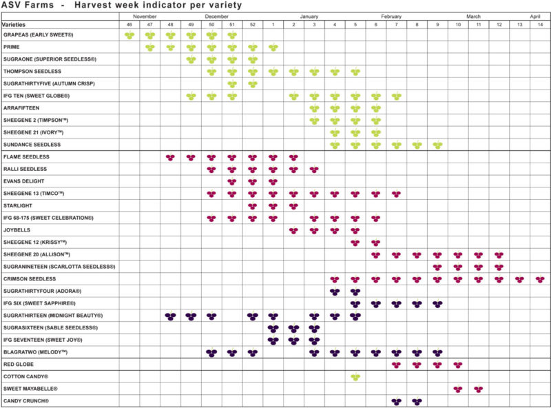 Grape Varieties | ASV Farms